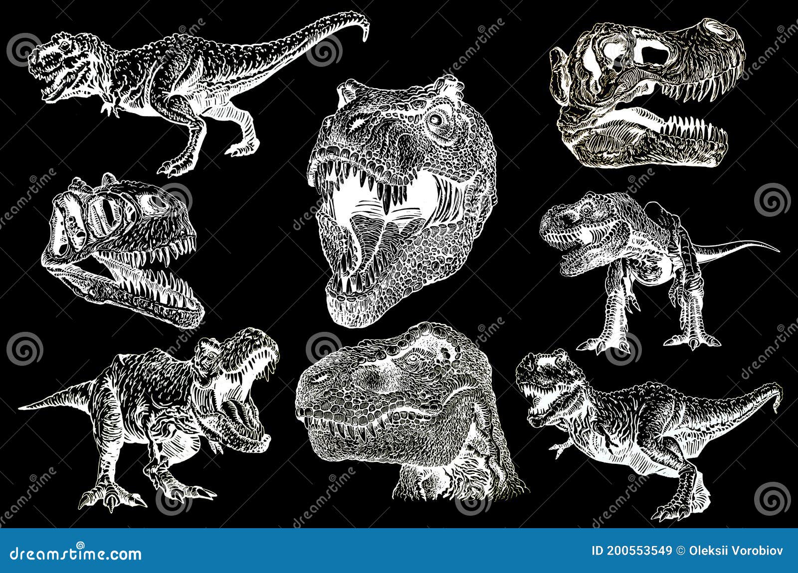 Graphical Set of Dinosaurs Isolated on Black Background,vector ... Graphical Set of Dinosaurs Isolated on Black Background,vector ...