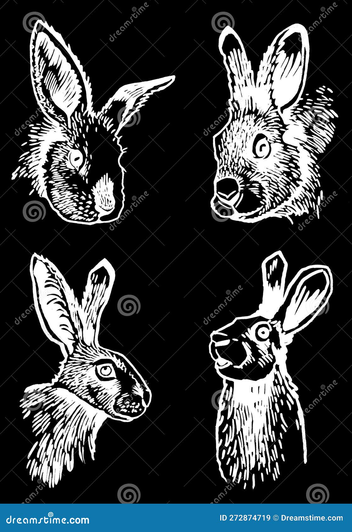 Graphical Set of Portraits of Bunnies Isolated on Black,vector Elements ...