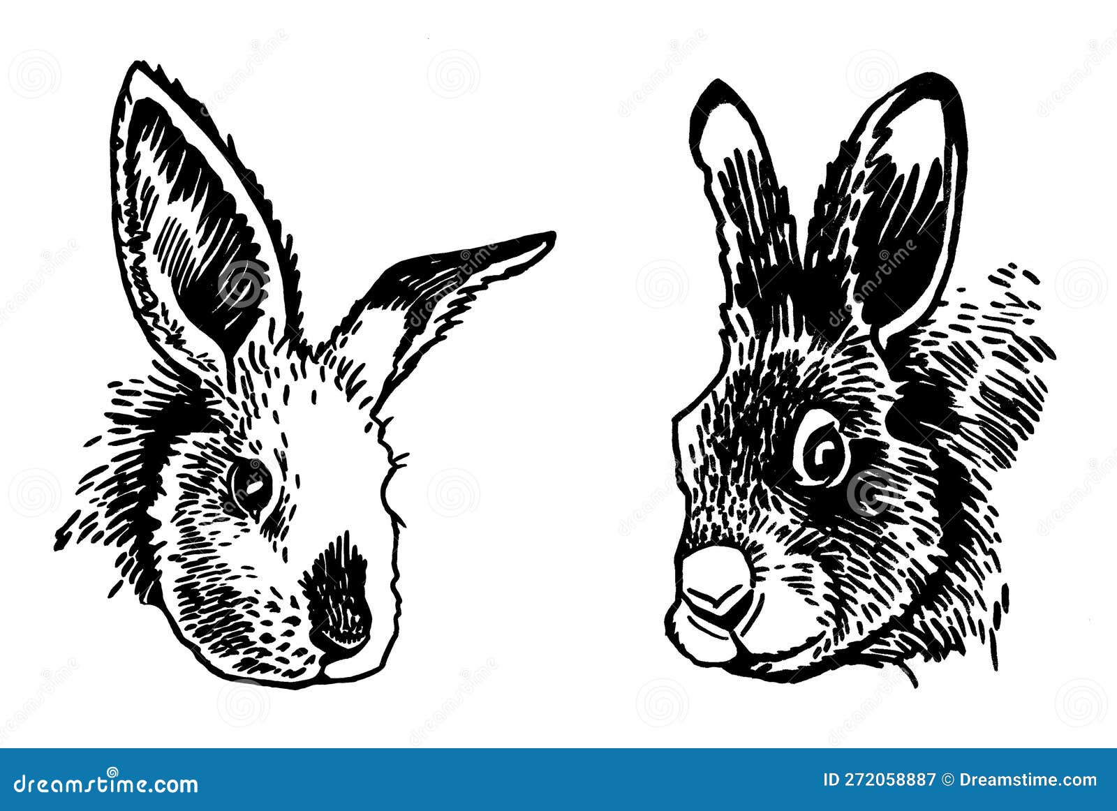 Graphical Set of Portraits of Bunnies Isolated on White,vector Elements ...