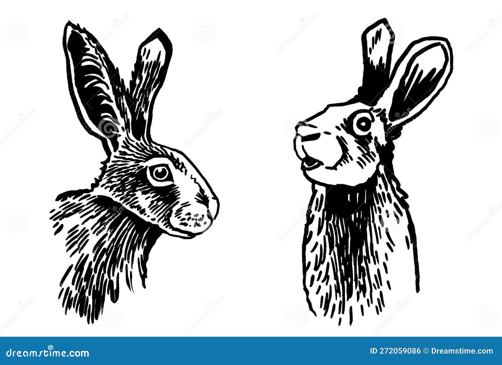 Graphical Set of Portraits of Bunnies Isolated on White,vector Elements ...