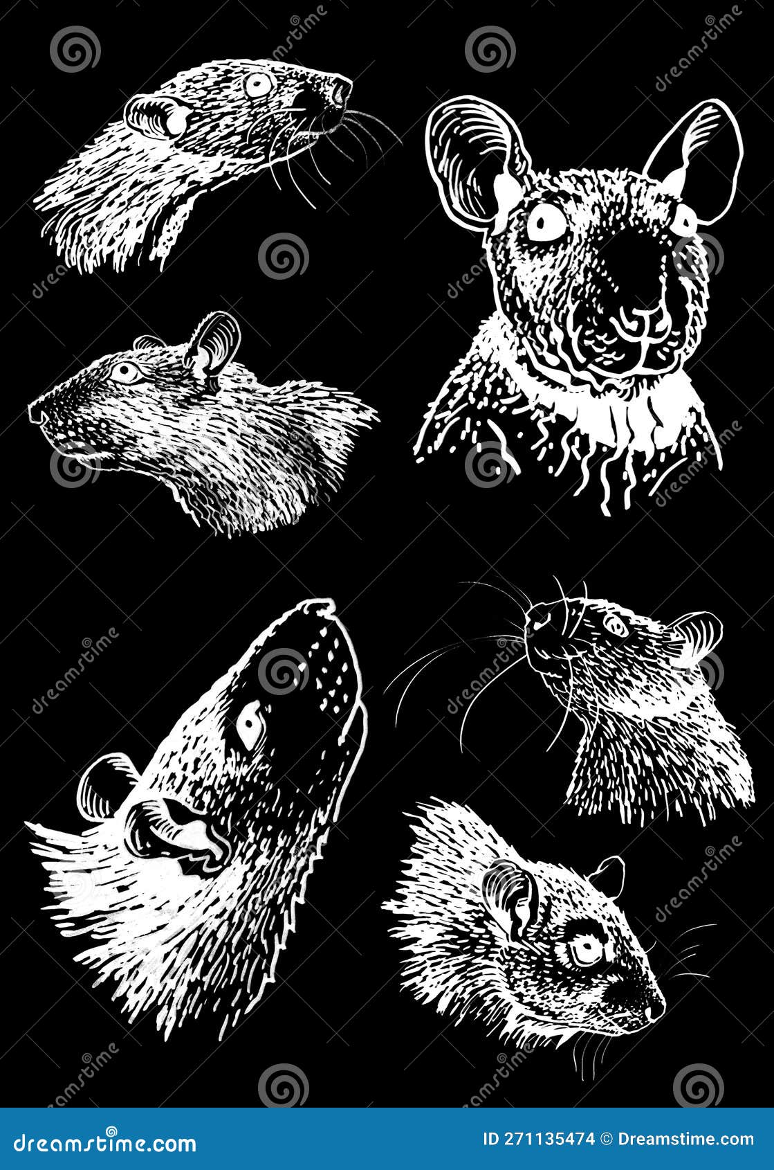 Graphical Set of Portraits of Rats on Black Isolated,vector Engraved ...