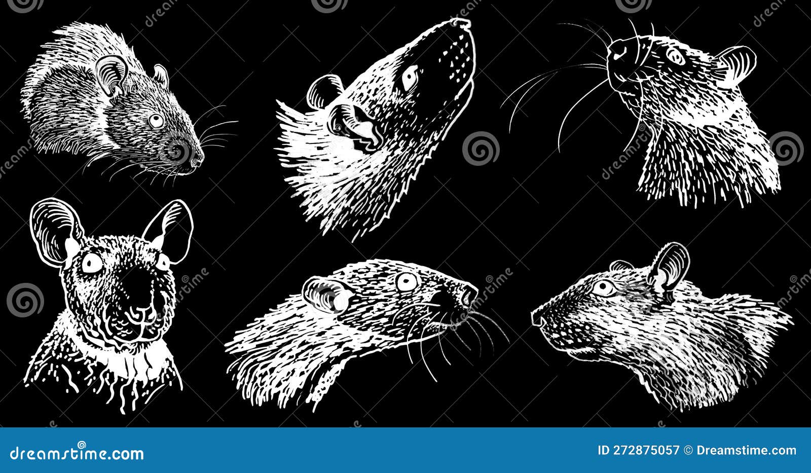 Graphical Set of Portraits of Rats on Black Isolated,vector ...
