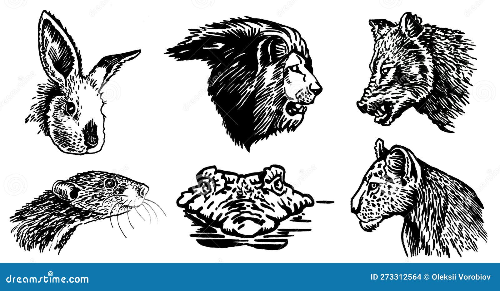 Graphical Set of Portraits of Wild Animals on White Isolated,vector ...
