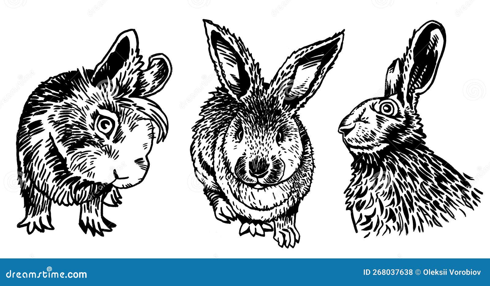 Graphical Set of Rabbits Isolated on White Background,vector ...