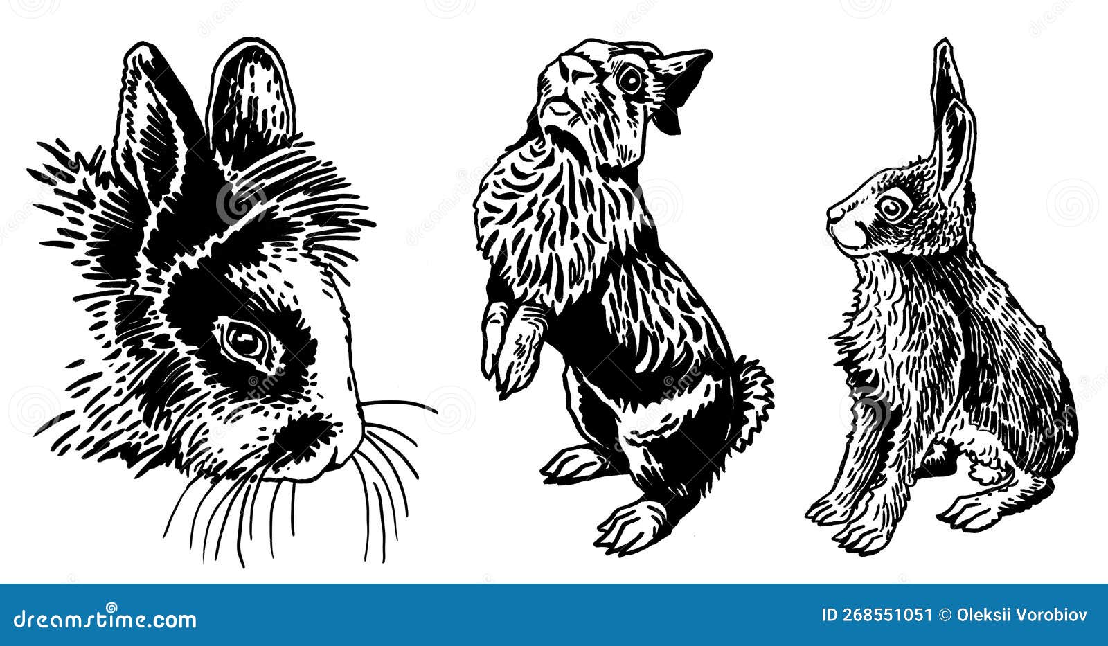 Graphical Set of Rabbits Isolated on White Background,vector ...