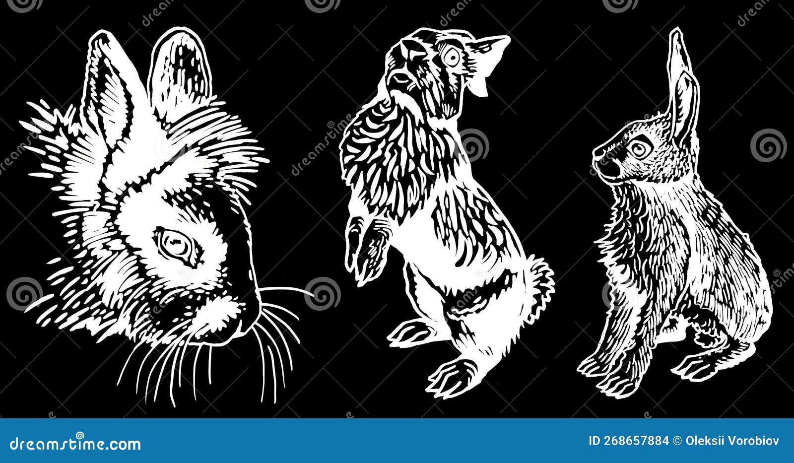 Graphical Set of Rabbits Isolated on White Background,vector ...