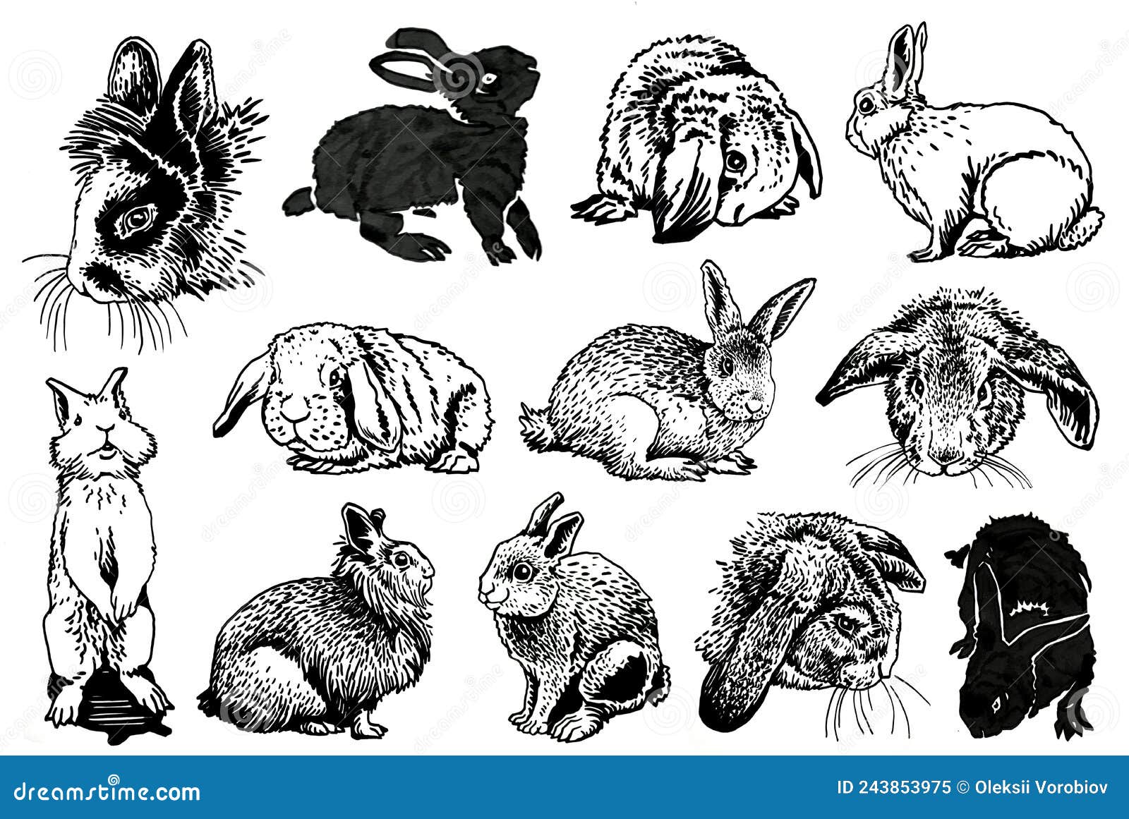Graphical Set of Rabbits Isolated on White,big Set of Bunnies,vector ...