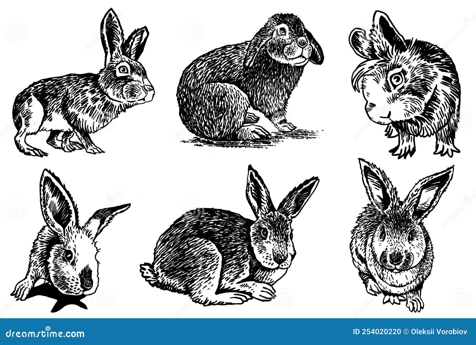Graphical Set of Rabbits Isolated on White,vector Illustration. Bunnies ...