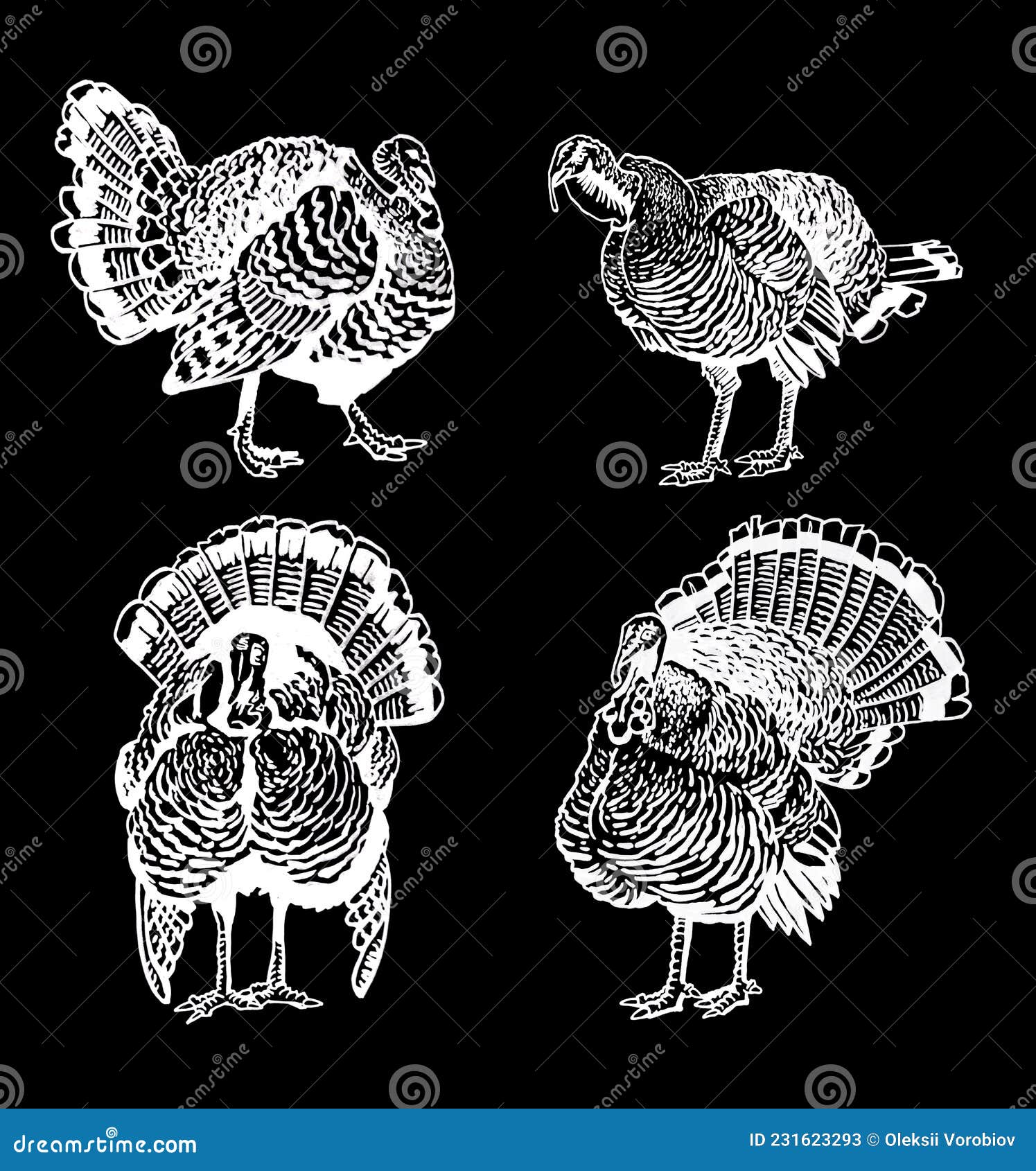 Graphical Set of Turkey Birds Isoalted on Black Background, Vector ...