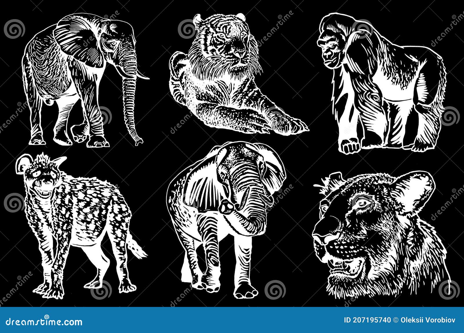 Graphical Set Of Animals Isolated On White Background,vector ...