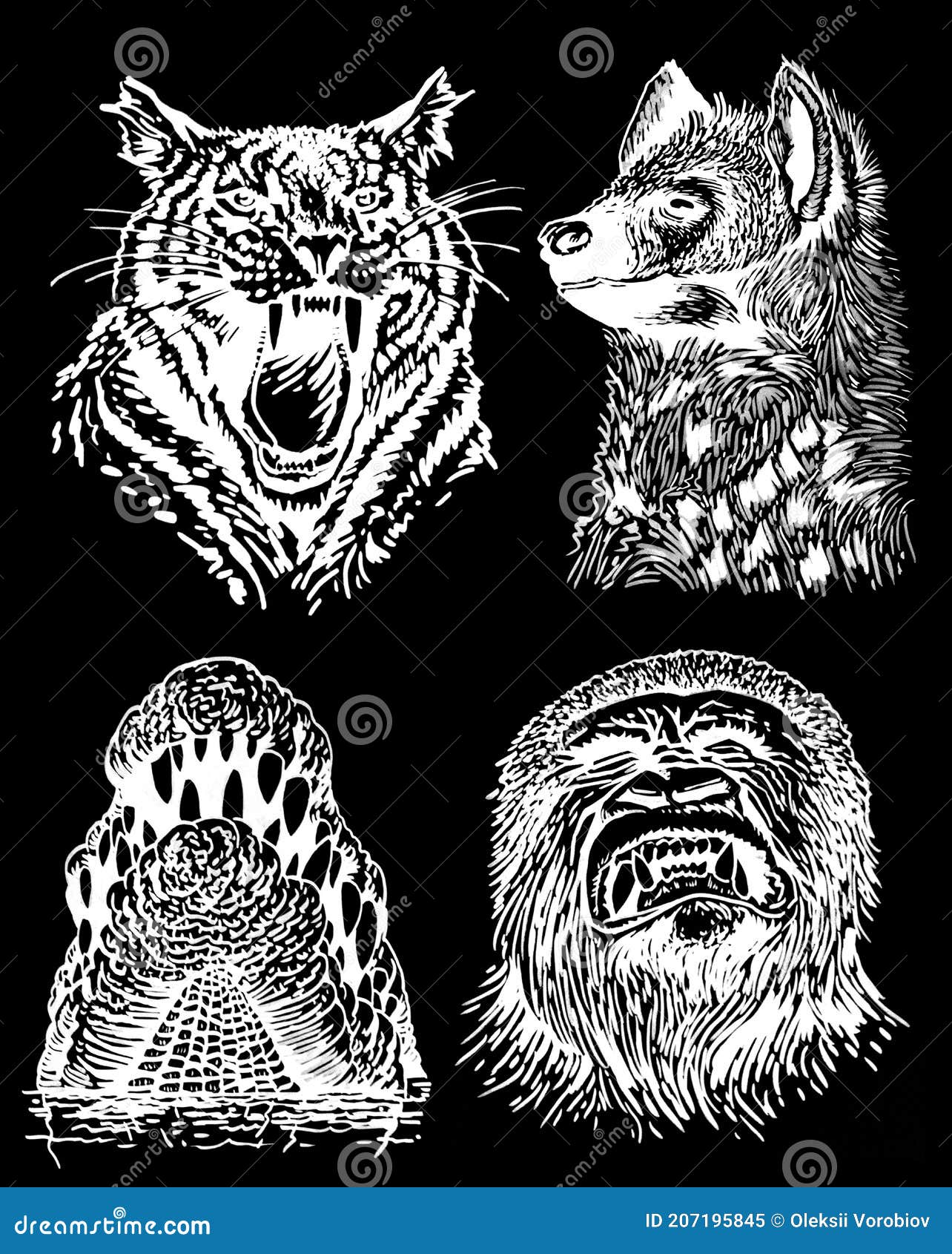 Graphical Set of Wild Animals Isolated on Black Background. Stock ...