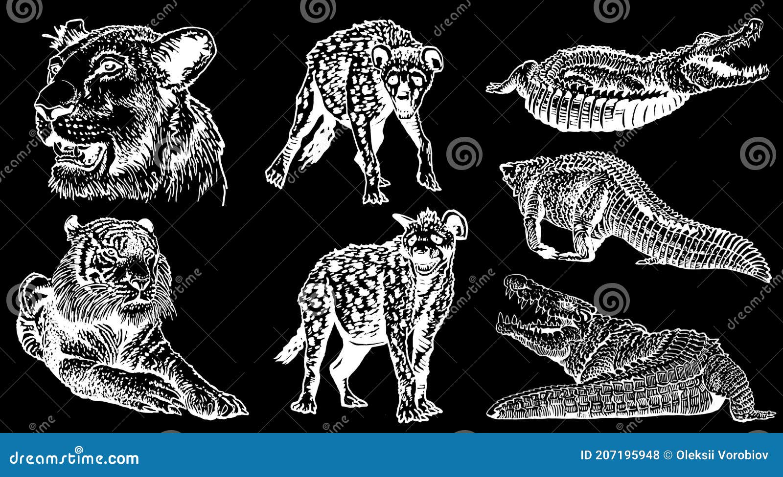 Graphical Set Of Animals Isolated On White Background,vector ...