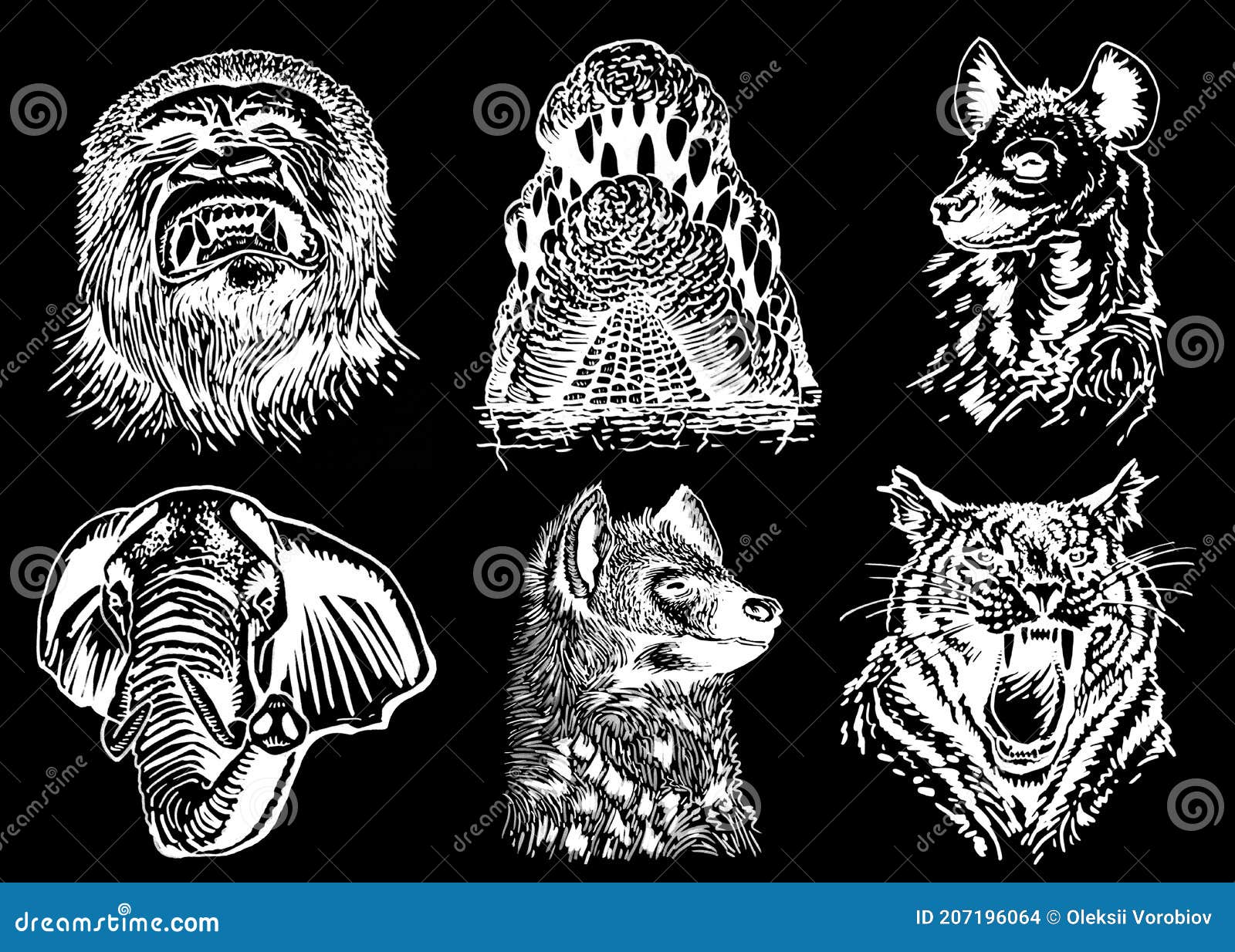 Graphical Set Of Animals Isolated On White Background,vector ...