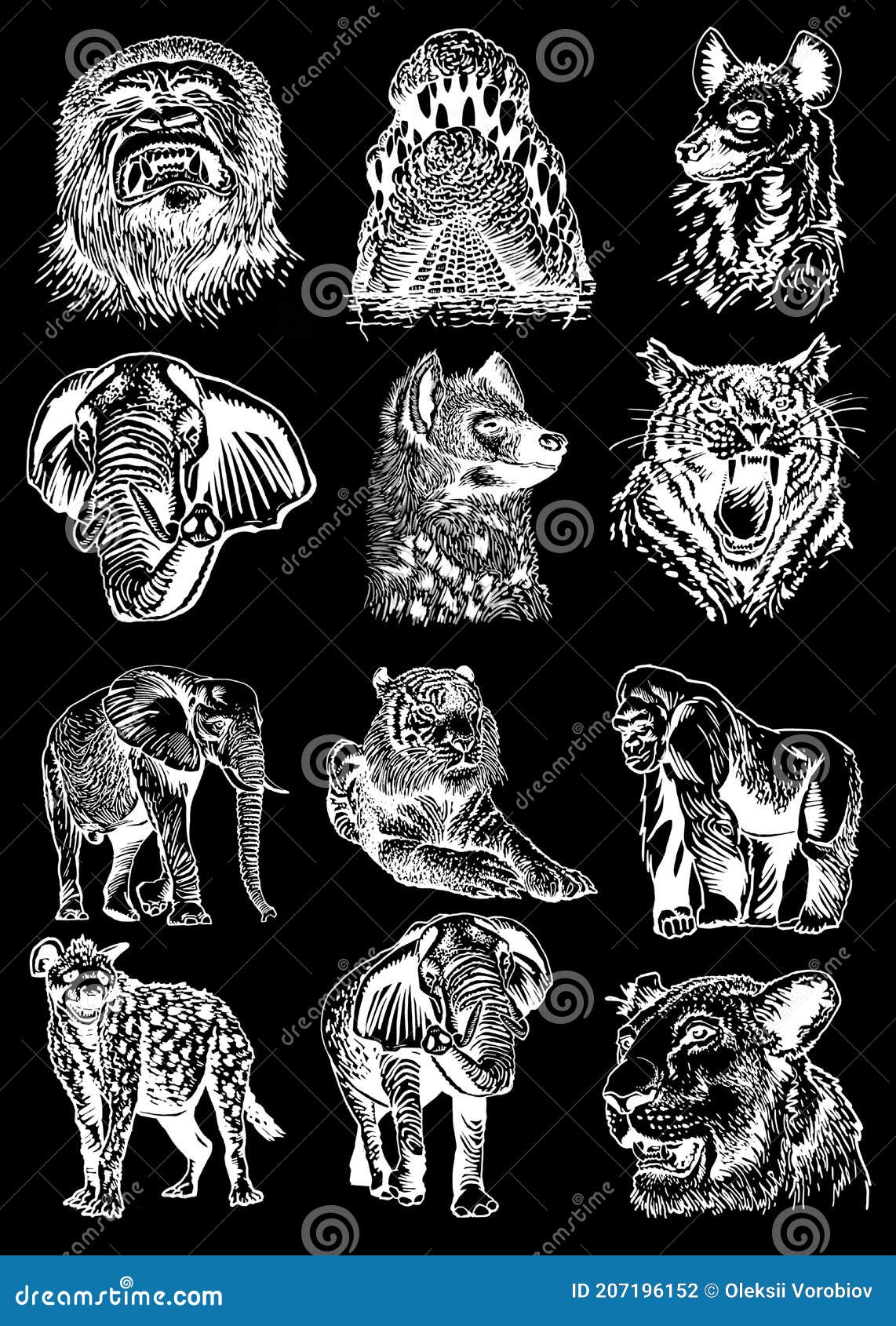 Graphical Set of Wild Animals Isolated on Black Background. Stock ...