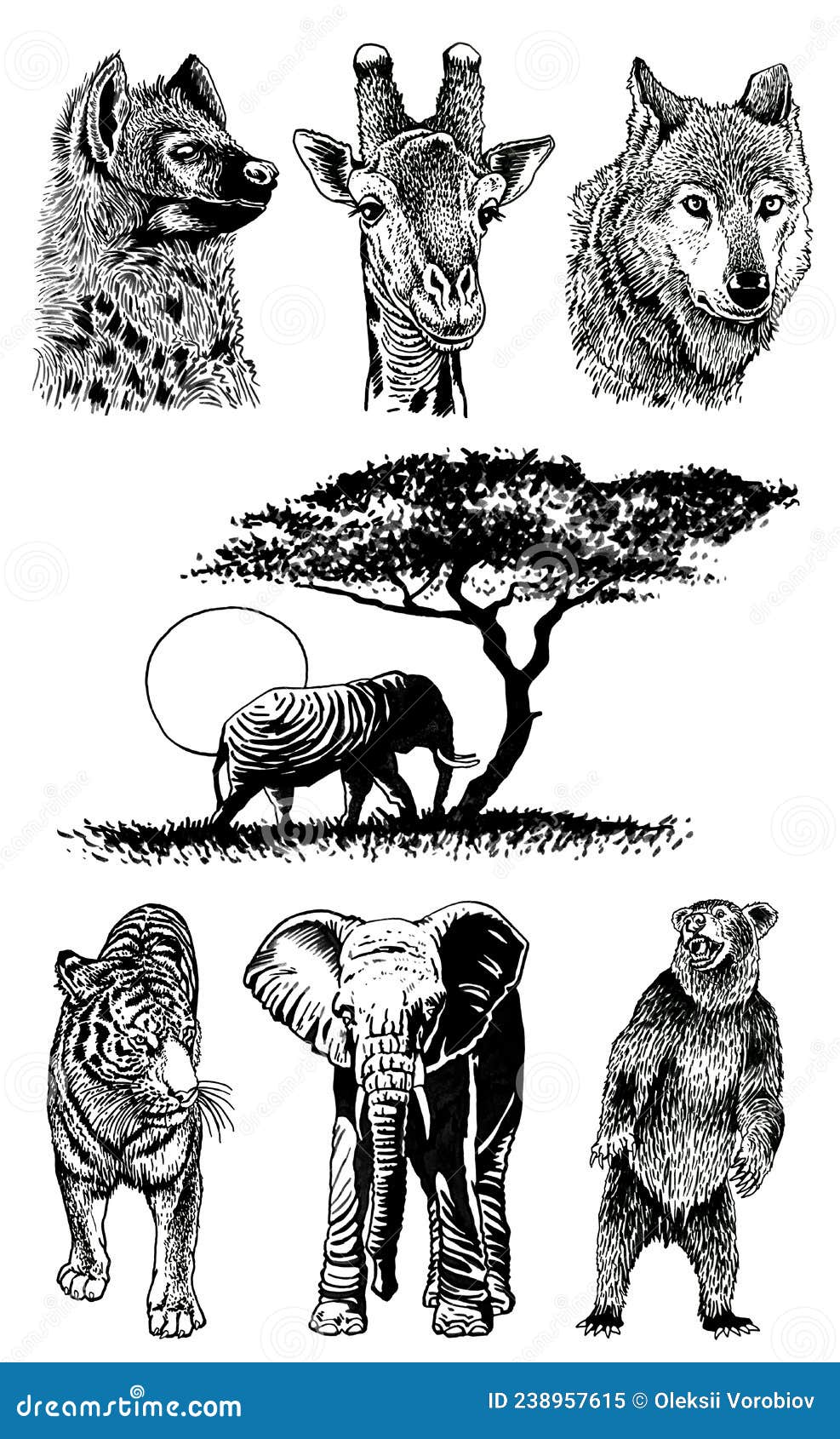 Graphical Set of Wild Animals Isolated on White Background,vector ...