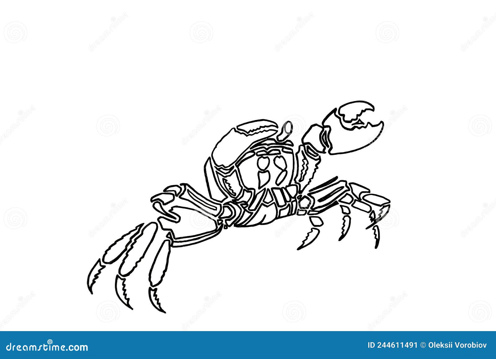 Graphical Sketch of Crab Isolated on White Background,vector Sea-food ...