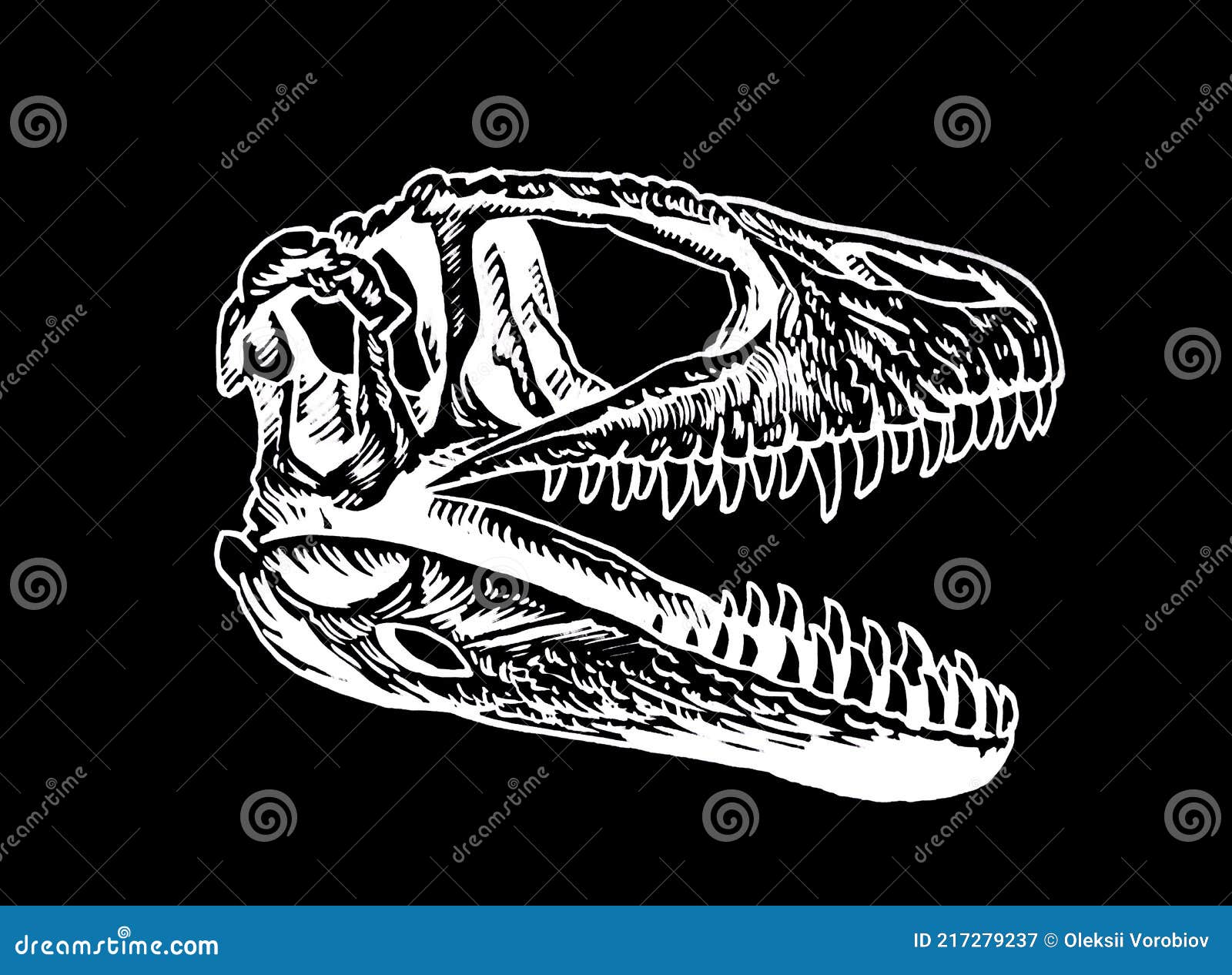 Graphical Skull of Raptor Isolated on Black,vector Illustration Stock ...