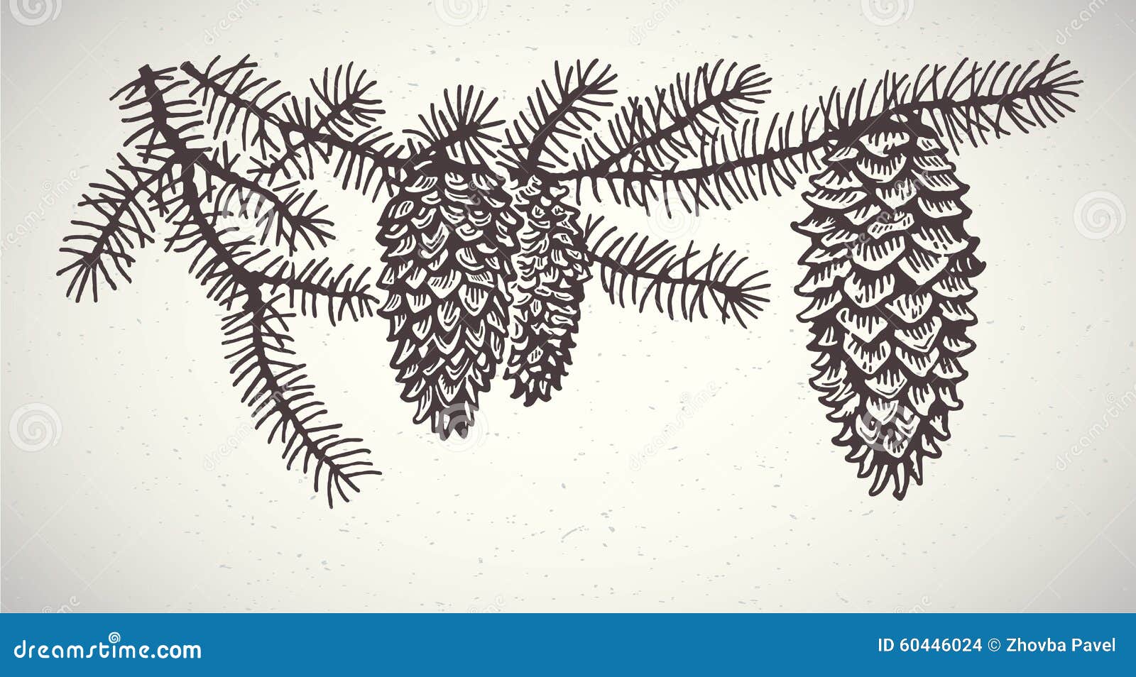 Graphical spruce branches. stock vector. Illustration of christmas ...