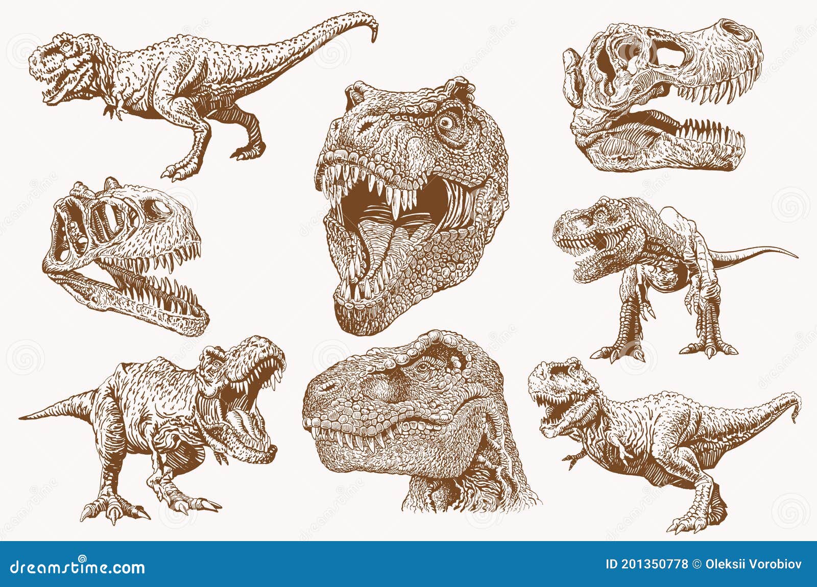 Graphical Set Of Dinosaurs Isolated On White Background, Hand-drawn ...