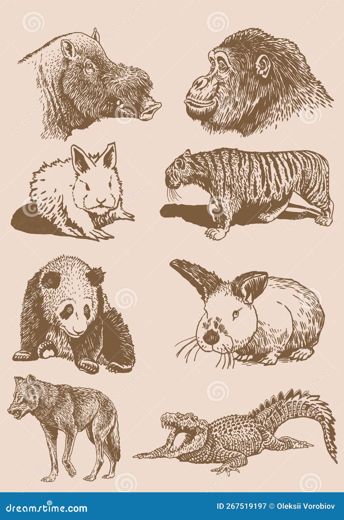 Graphical Vintage Set of Animals , Sepia Background,vector Illustration ...