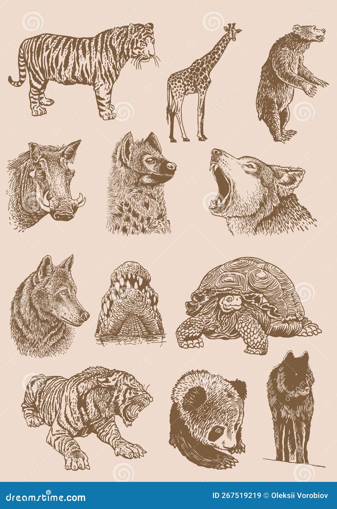 Graphical Vintage Set of Animals , Sepia Background,vector Illustration ...