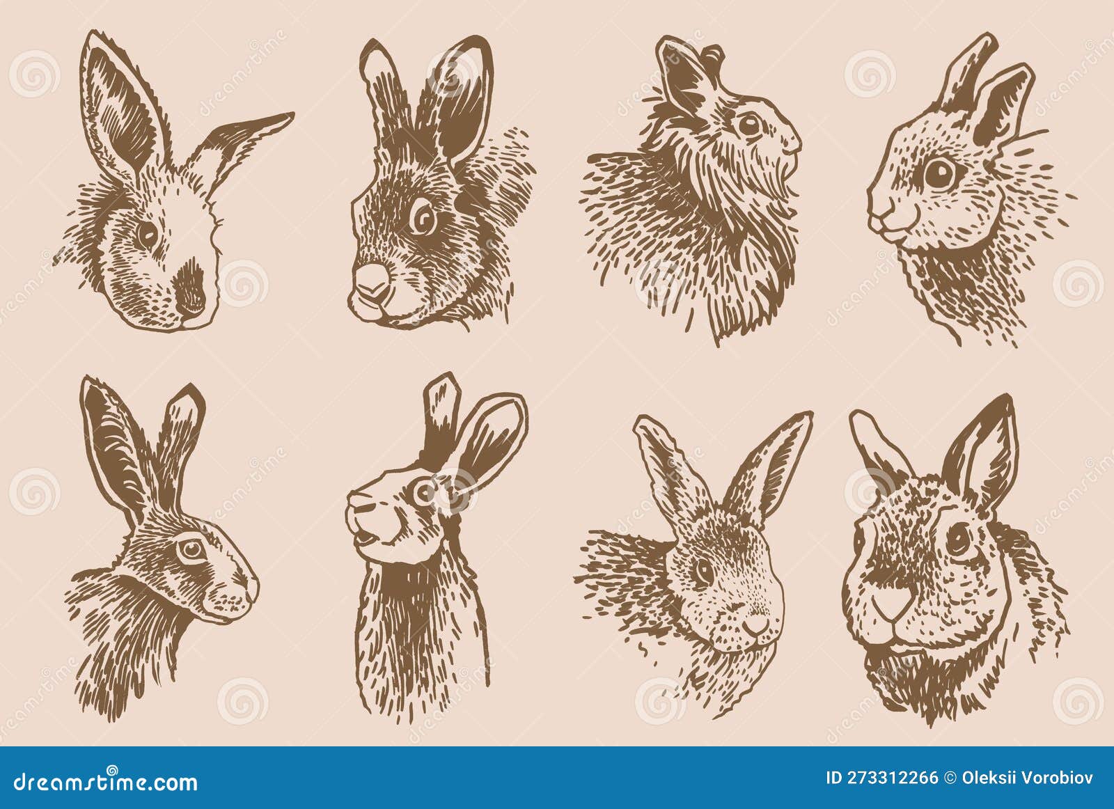 Graphical Vintage Set of Portraits of Bunnies ,vector Elements. Hand ...