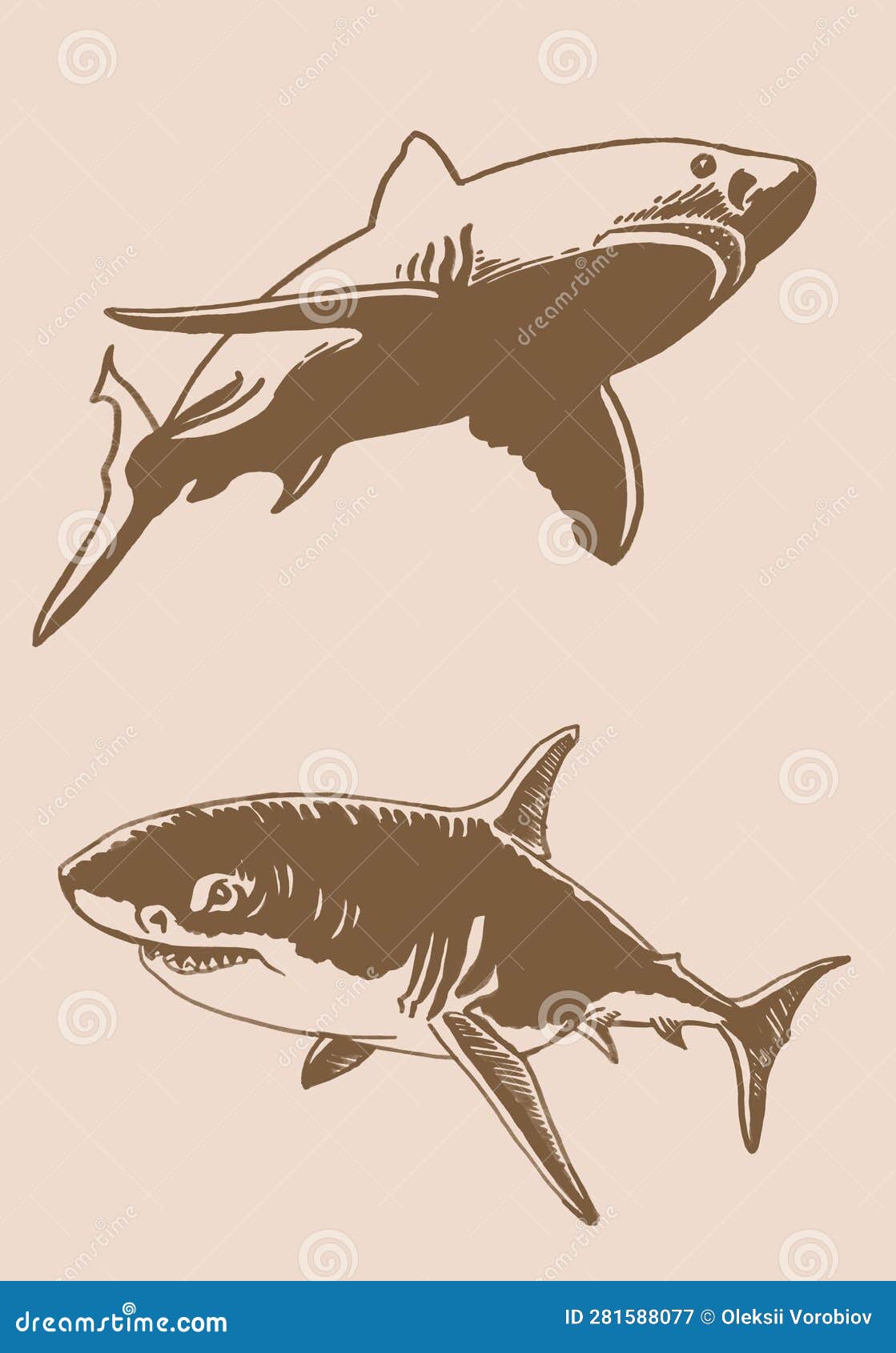 Graphical Vintage Set Of Sharks Great White Sharks Vector Illustration Stock Vector