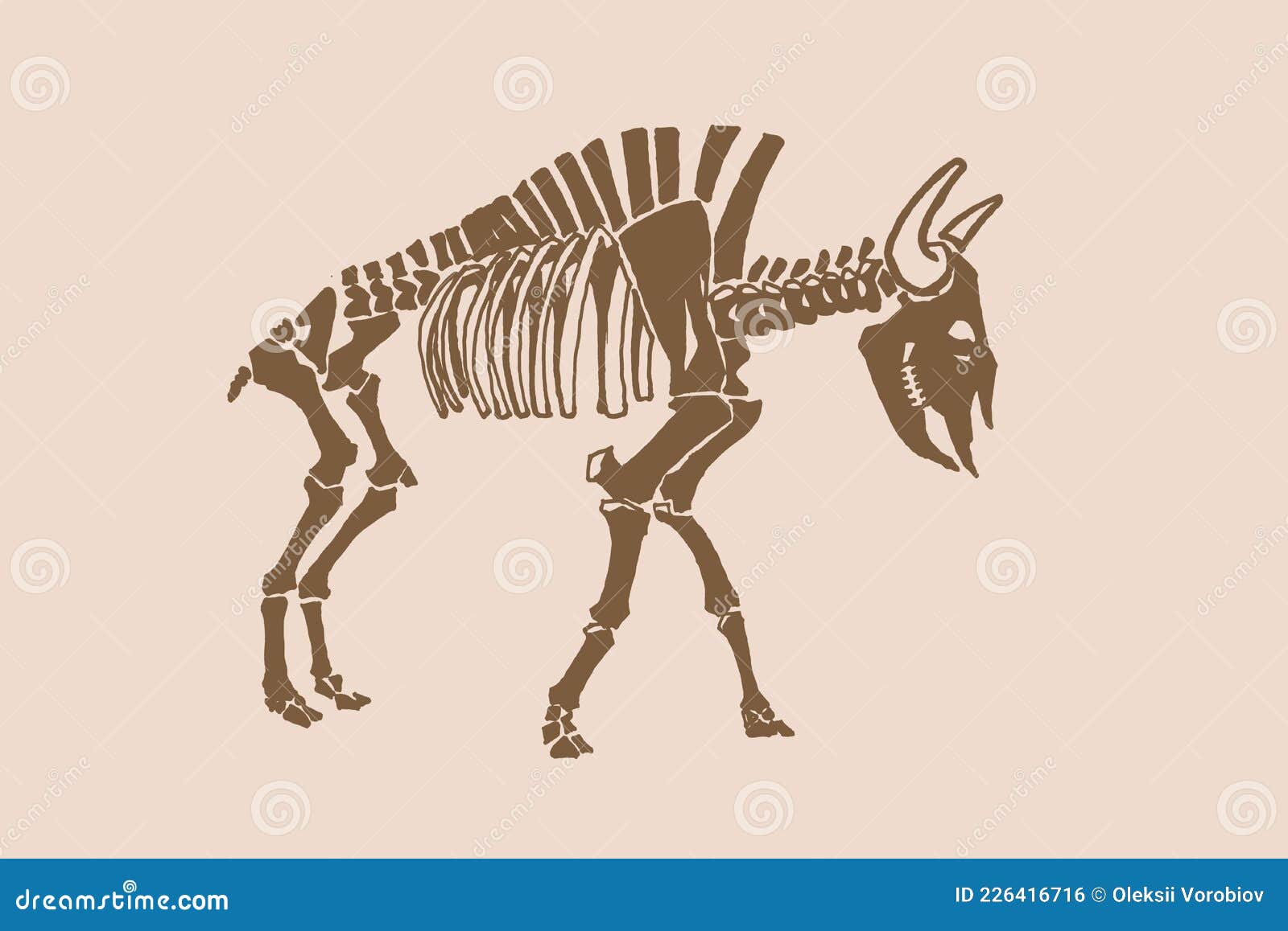 Graphical Vintage Skeleton of Bison ,vector Illustration.Paleontology ...