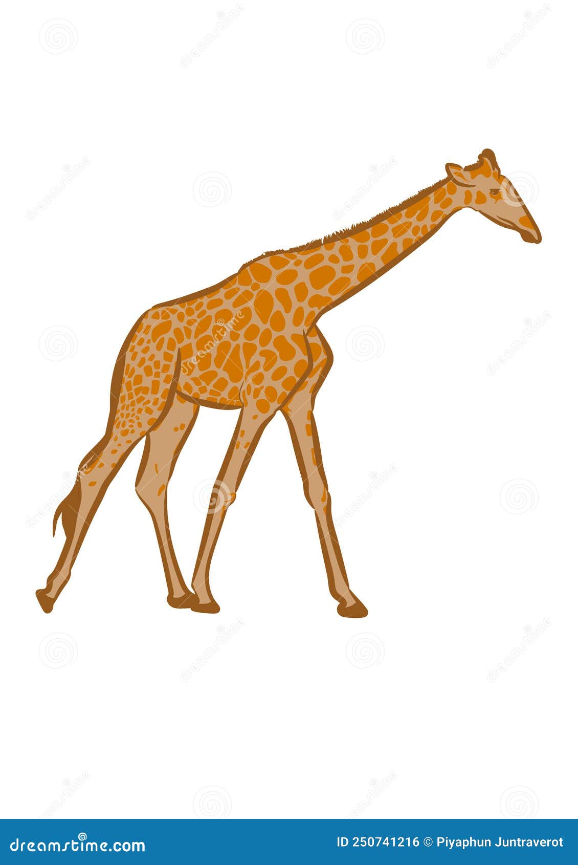 Graphics Drawing Giraffe Vector Illustration Stock Vector ...
