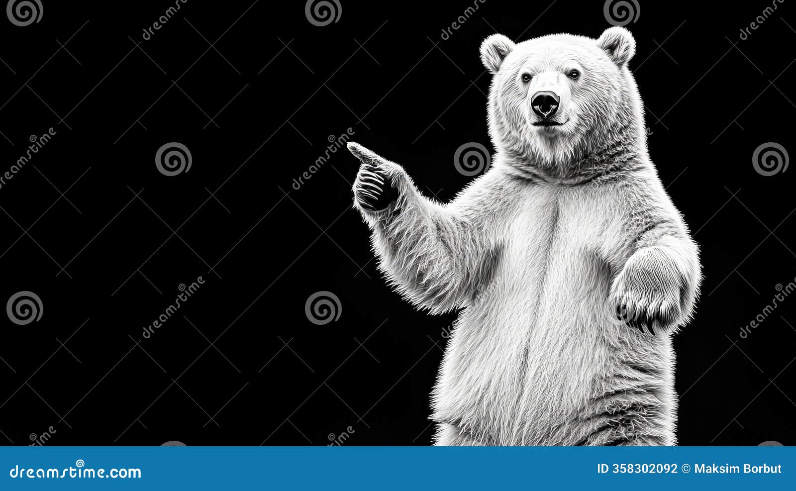 Graphite Illustration of a Standing Bear Pointing with Its Paw. Sketch ...