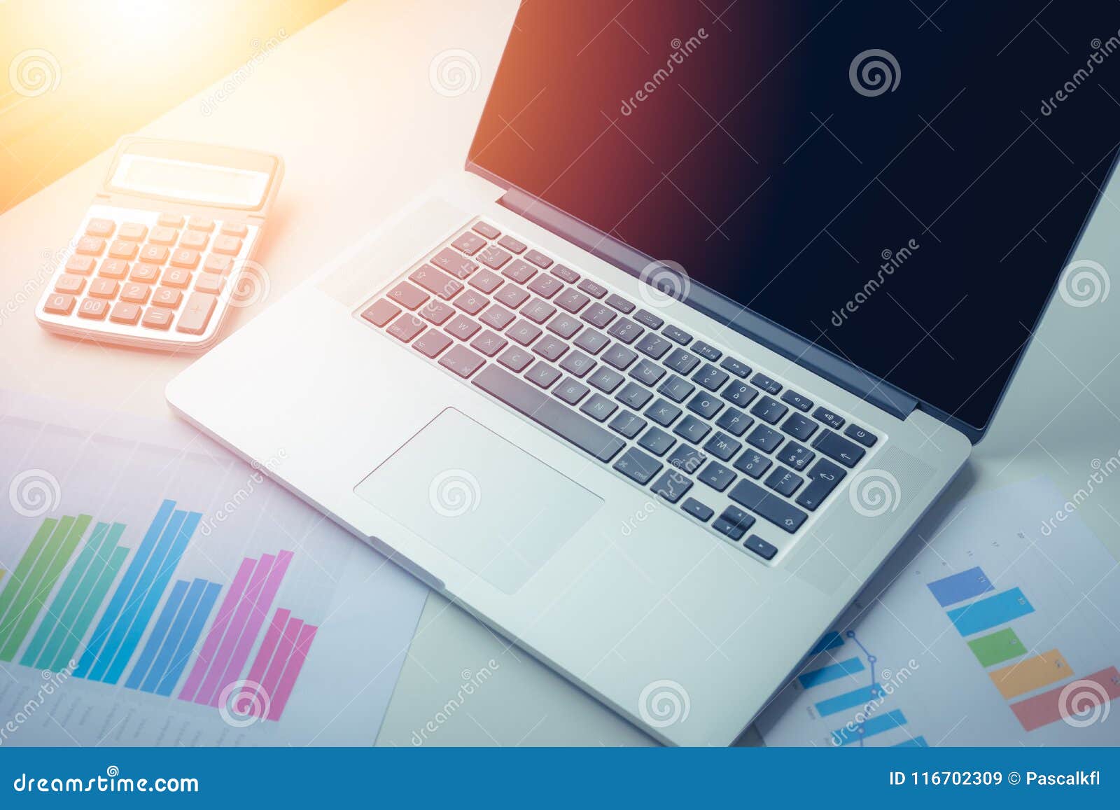 Graphs, Charts, Business Table. the Workplace of Business People. Stock ...