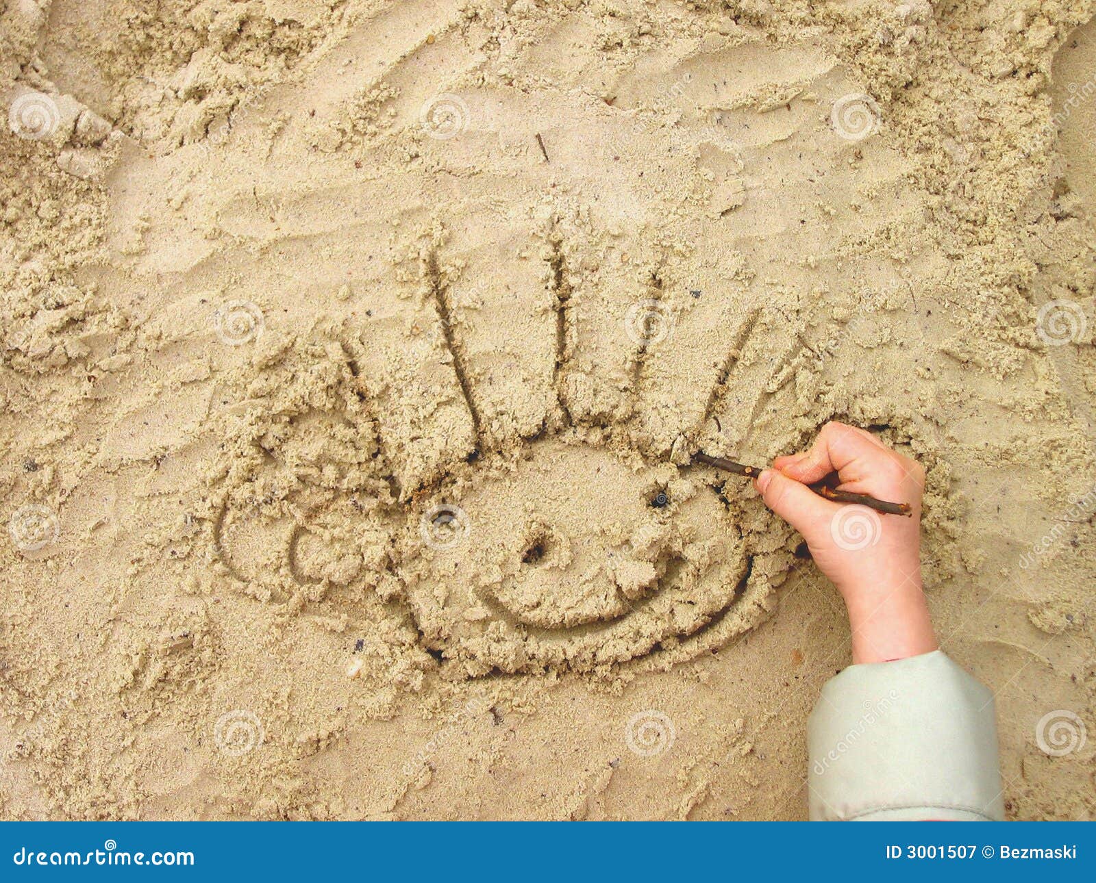 Grappige Smiley Op Nat Zand Stock Afbeelding - Image of zand, symbool ...