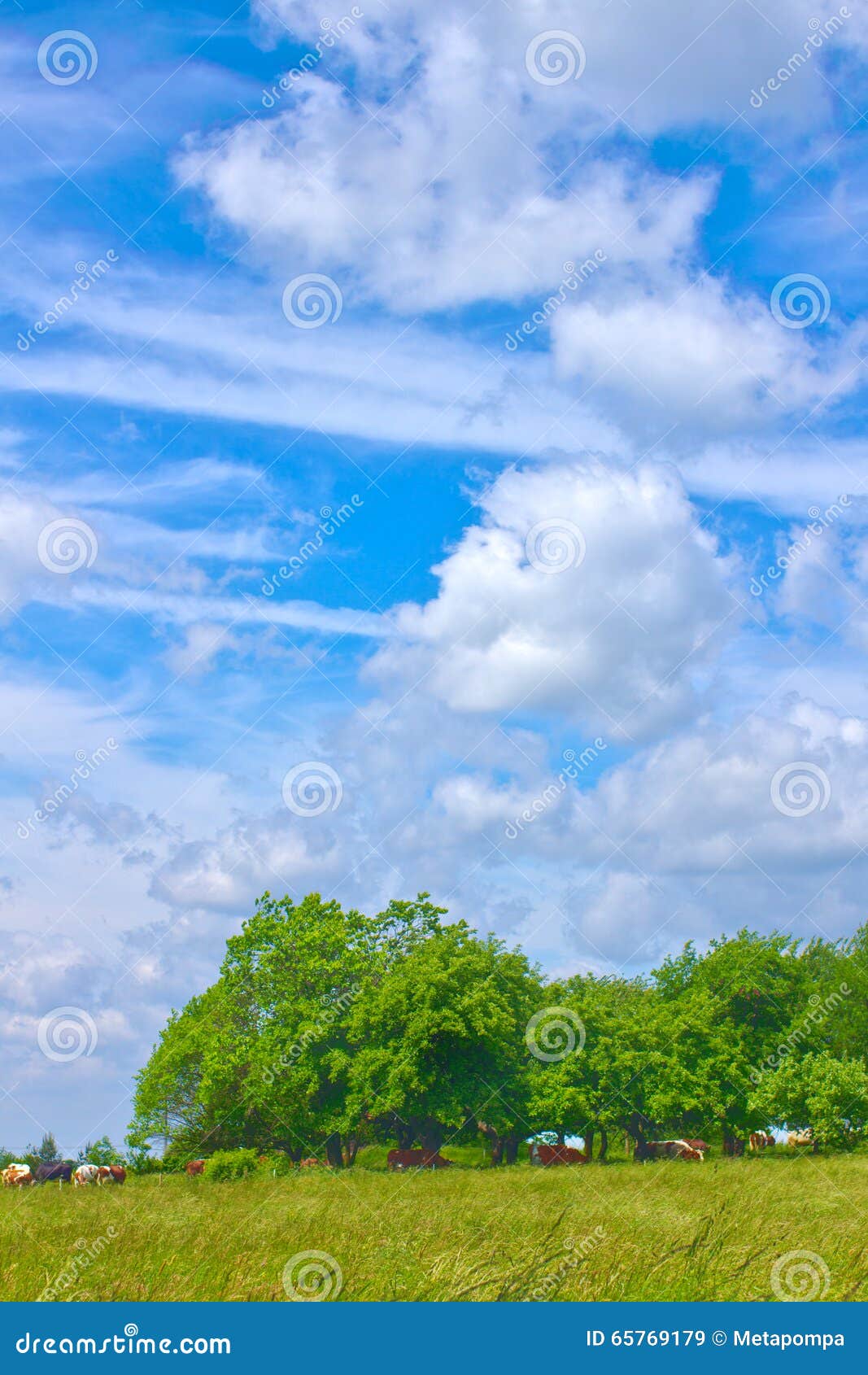 Grappige Wolken Over Groene Weide Stock Afbeelding - Image of ochtend ...