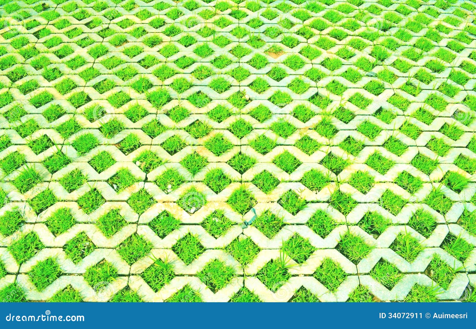 Gras in beton stock afbeelding. Image of groen, nave - 34072911