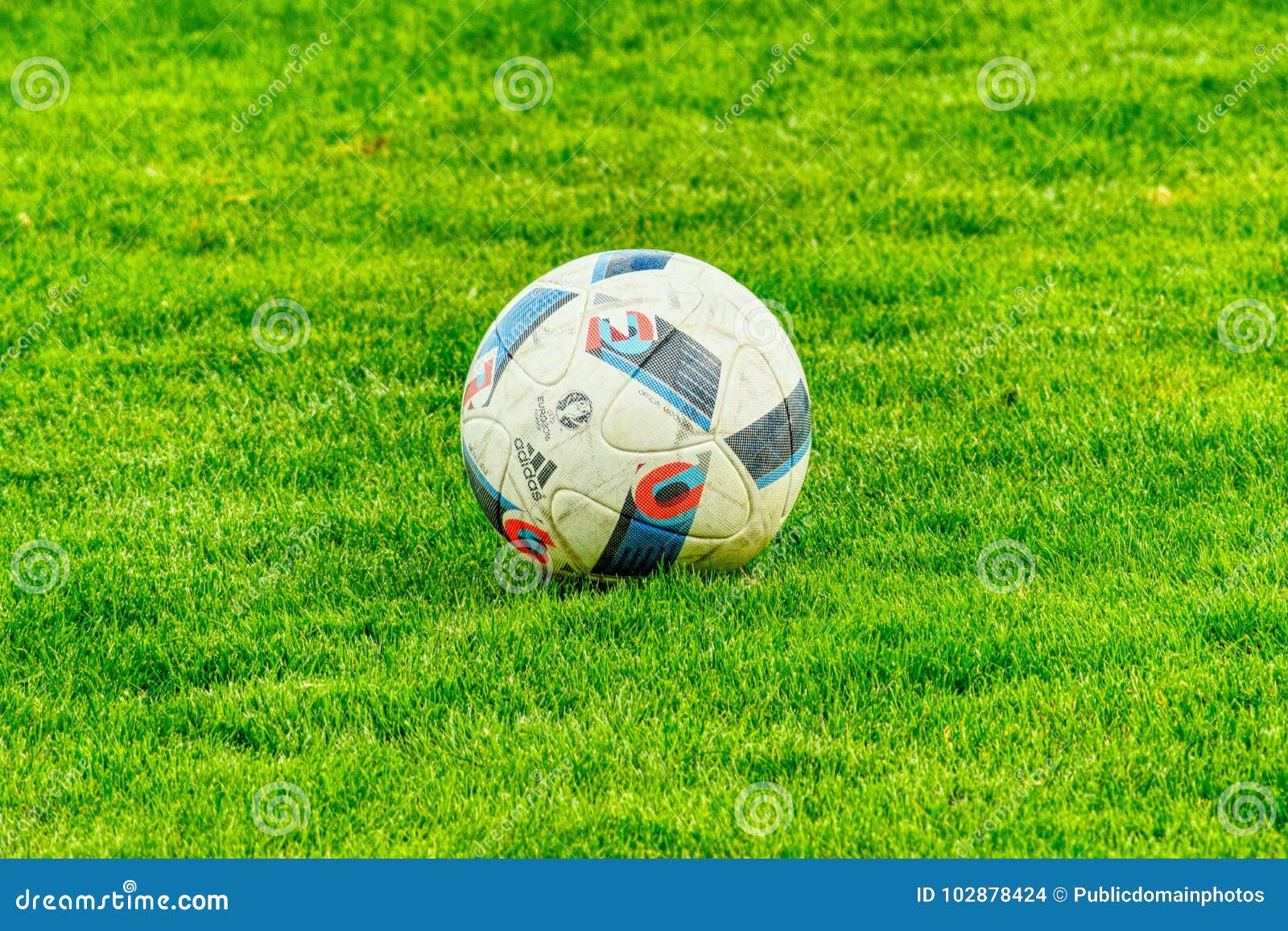 Gras, Groene Voetbal, Bal Picture. Image: 102878424