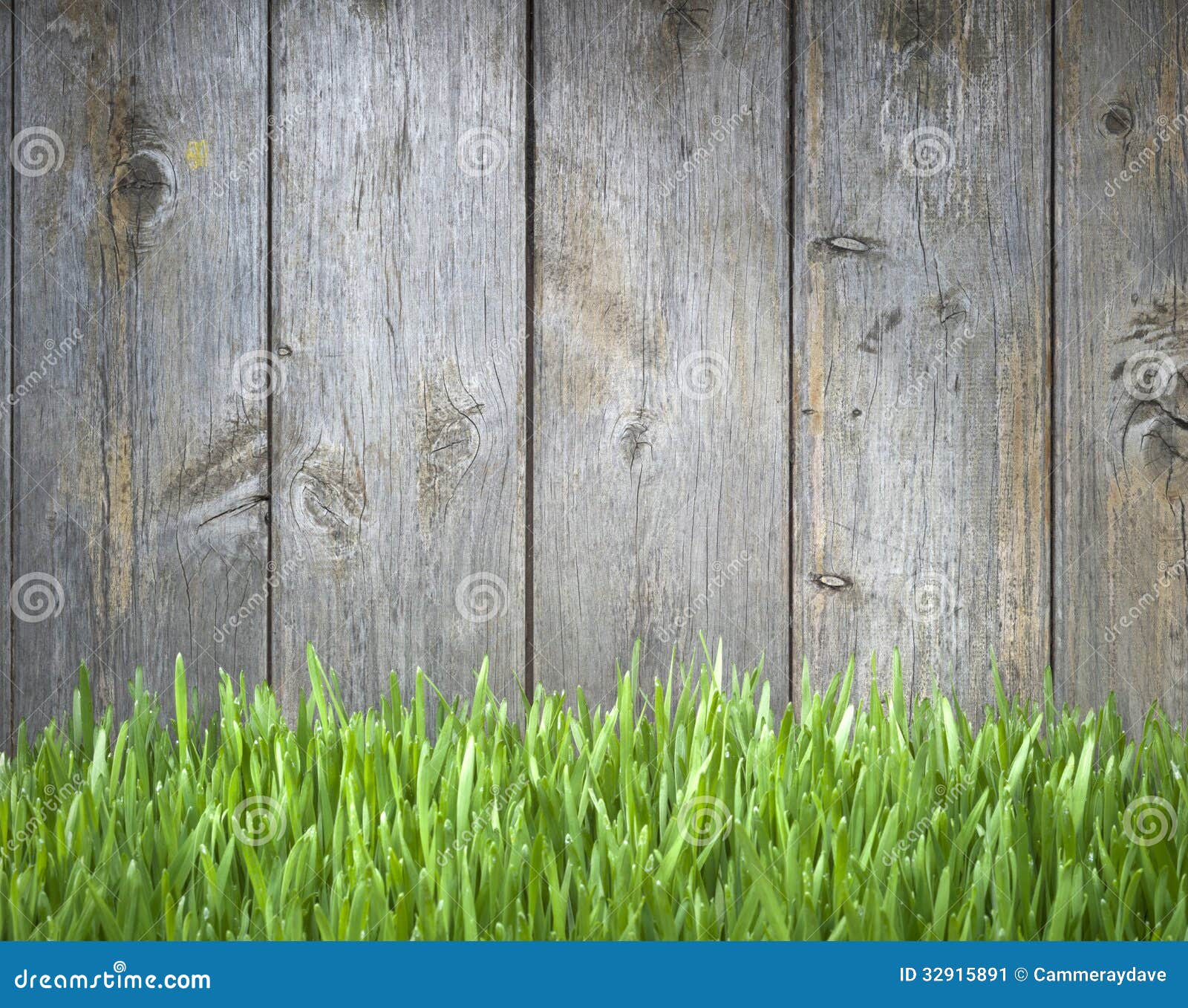 Gras-hölzerner Zaun Background Stockbild - Bild von grasartig ...