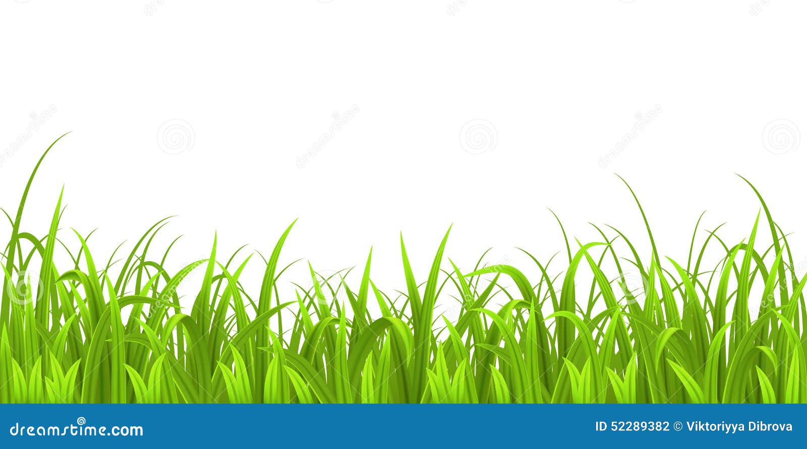 Gras neu vektor abbildung. Illustration von getrennt - 52289382