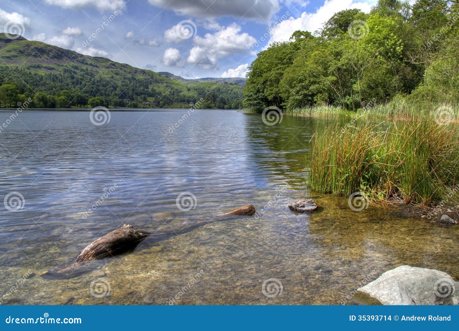 Grasmere 库存照片. 图片 包括有 刺毛, 欧洲, 室外, 夏天, 英语, 英国, 芦苇, 节假日 - 35393714