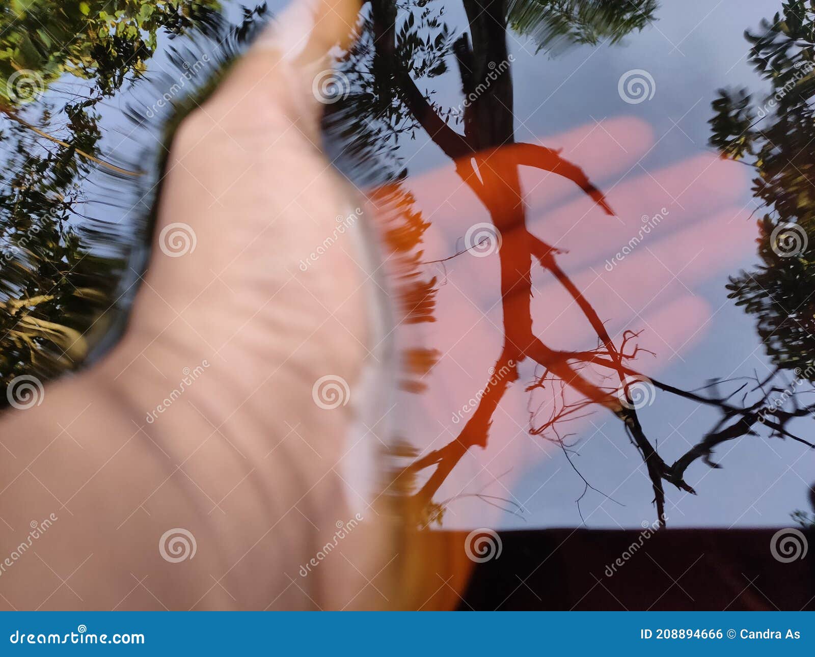 Grasping a Tree Inside the Water Stock Photo - Image of hand, detail ...