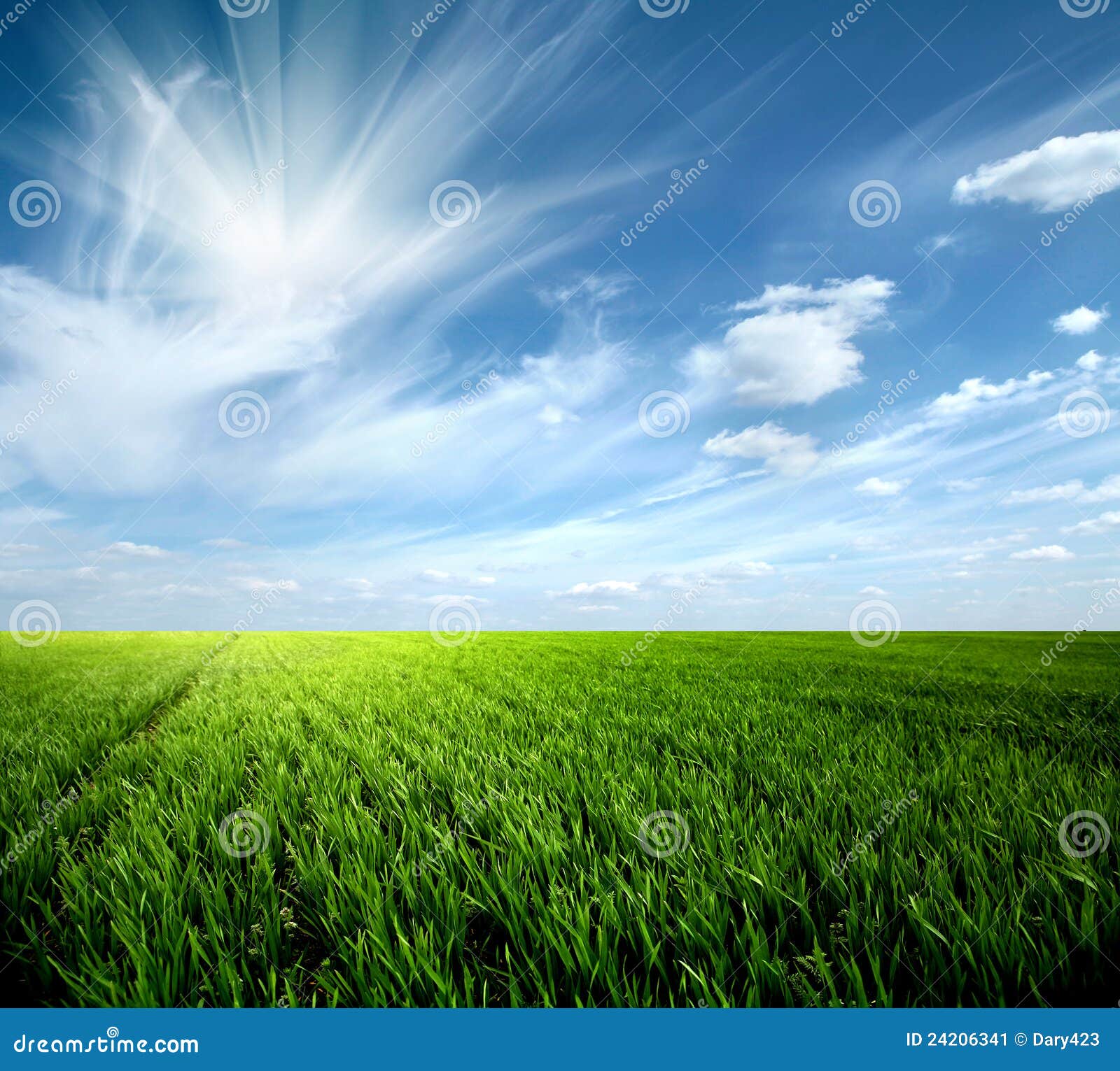 Grass stock image. Image of idyllic, outside, cloud, grass - 24206341