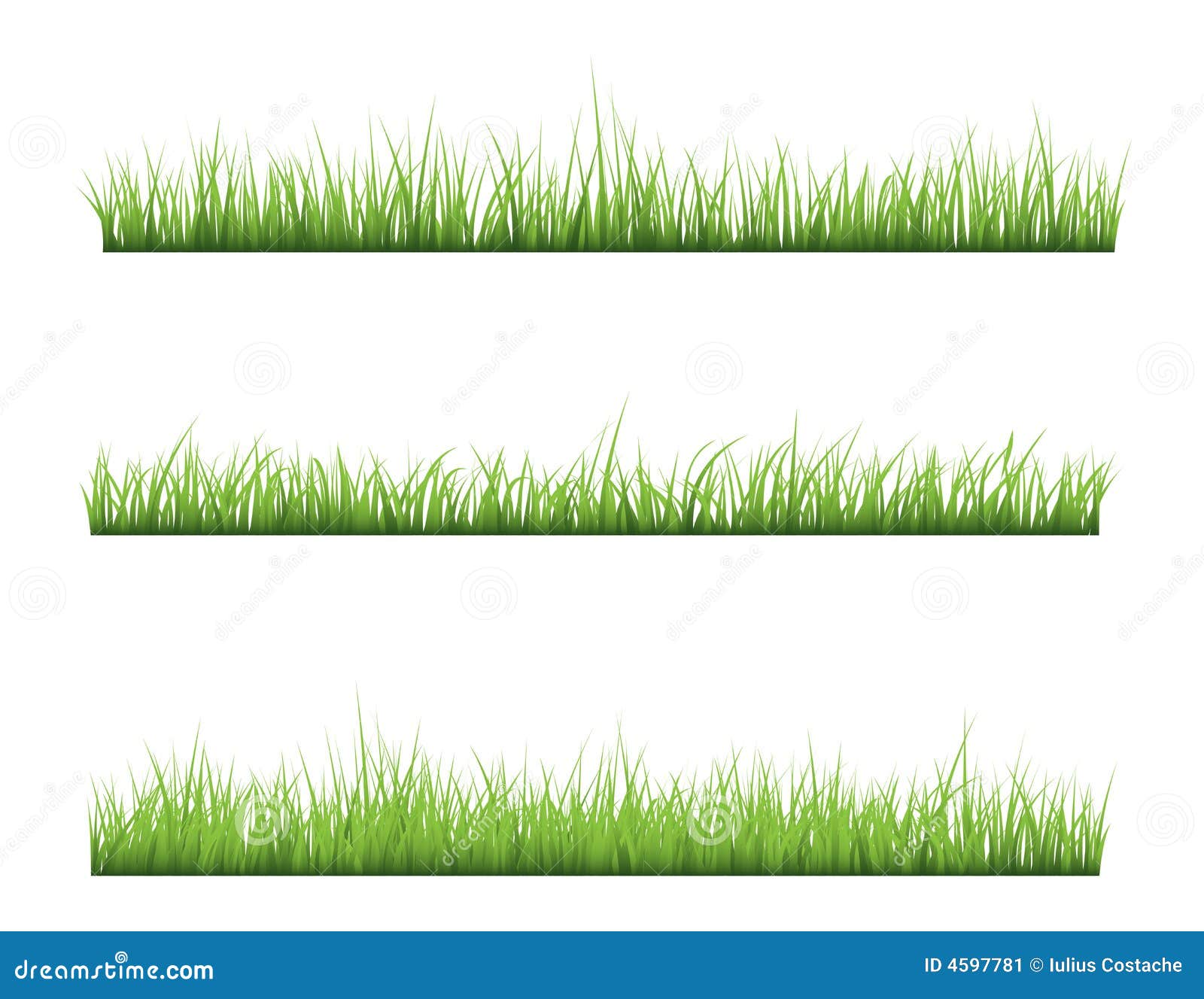Grass Cartoon Vector | CartoonDealer.com #41087505