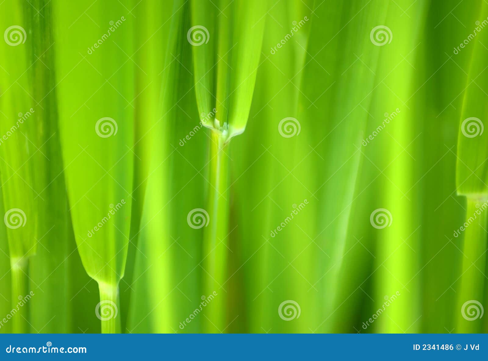 Grass, Abstract, Background.. Stock Photography | CartoonDealer.com ...