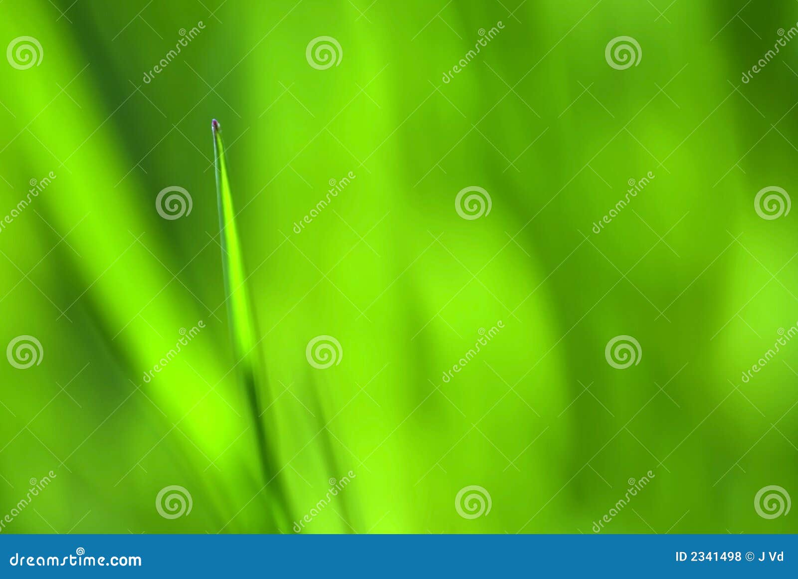 Grass, Abstract, Background.. Stock Photography | CartoonDealer.com ...