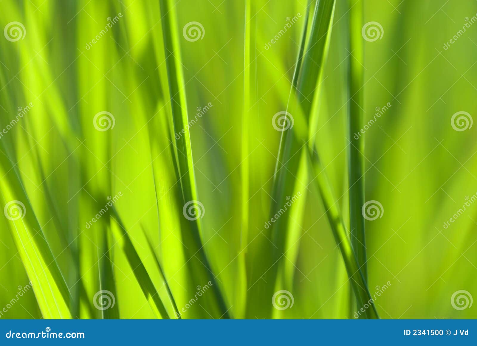 Grass, Abstract, Background.. Stock Photography | CartoonDealer.com ...