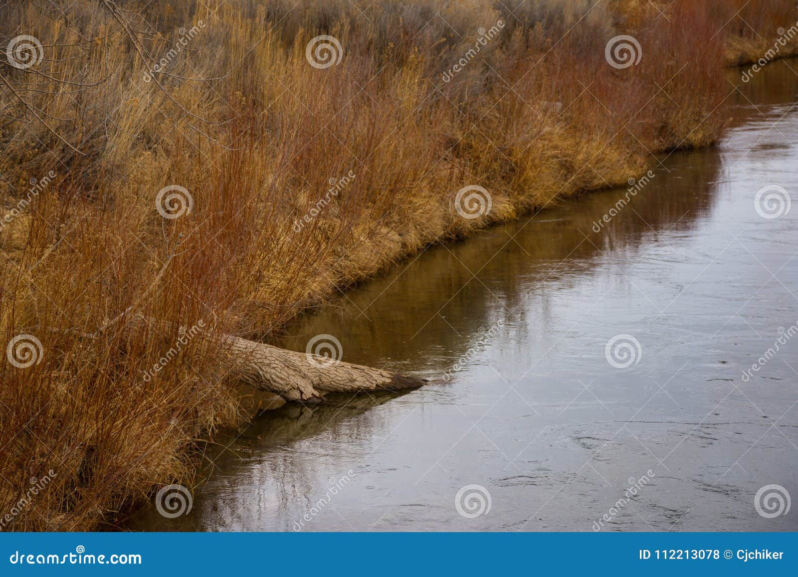 Grass Along Riverbank Winter Scene Stock Photo - Image of country ...