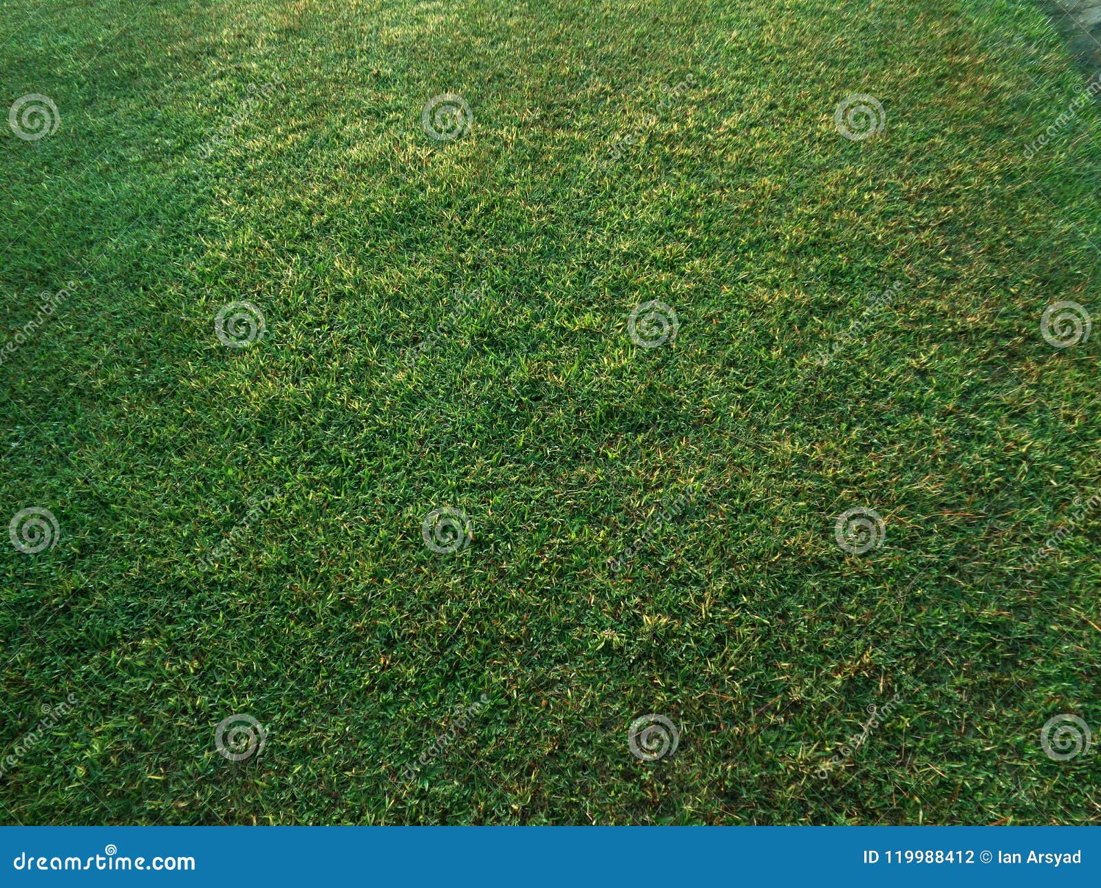 Grass around the temple stock photo. Image of brick - 119988412