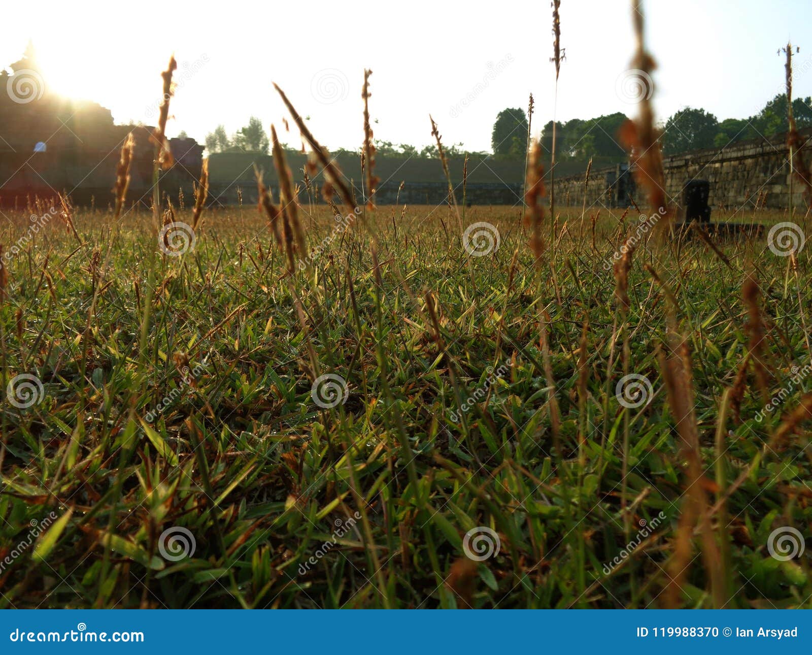 Grass around the temple editorial image. Image of grass - 119988370
