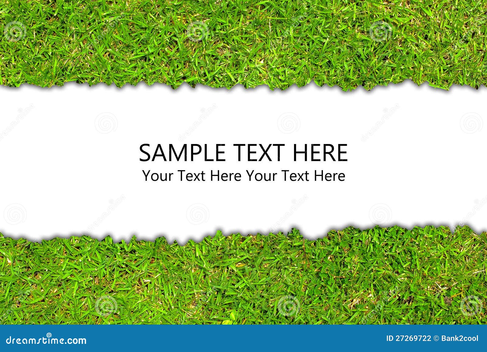 The grass background stock photo. Image of fresh, garden - 27269722