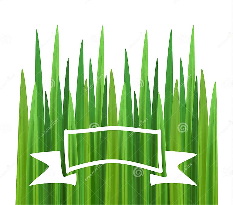 Grass Background with Badge Stock Vector - Illustration of plant, field ...