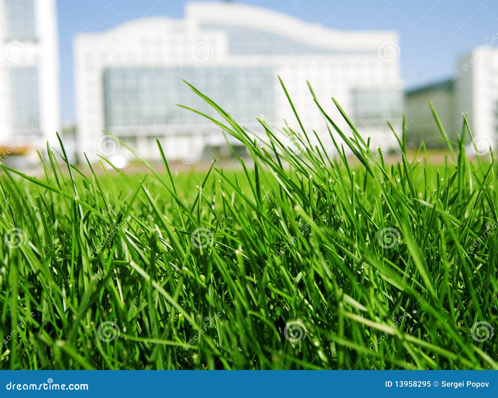 Grass on a Background Buildings Stock Image - Image of bright, neat ...